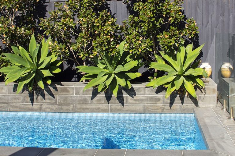 Top 5 Pool Landscape Design Ideas to Transform Your Backyard